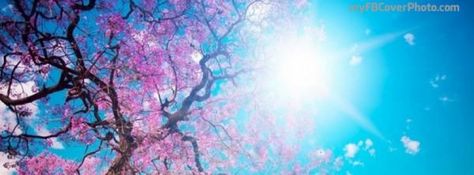 Free Spirit Media – Vancouver Web Design & Development