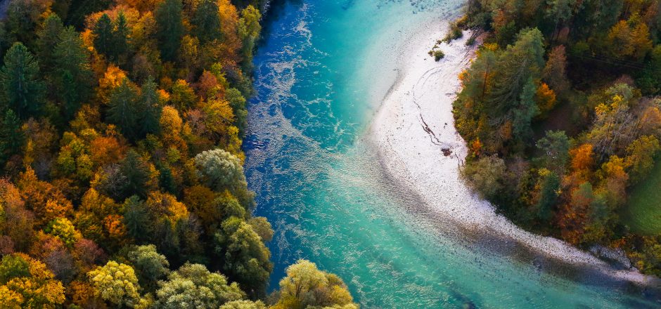 Free Spirit Media – Vancouver Web Design & Development